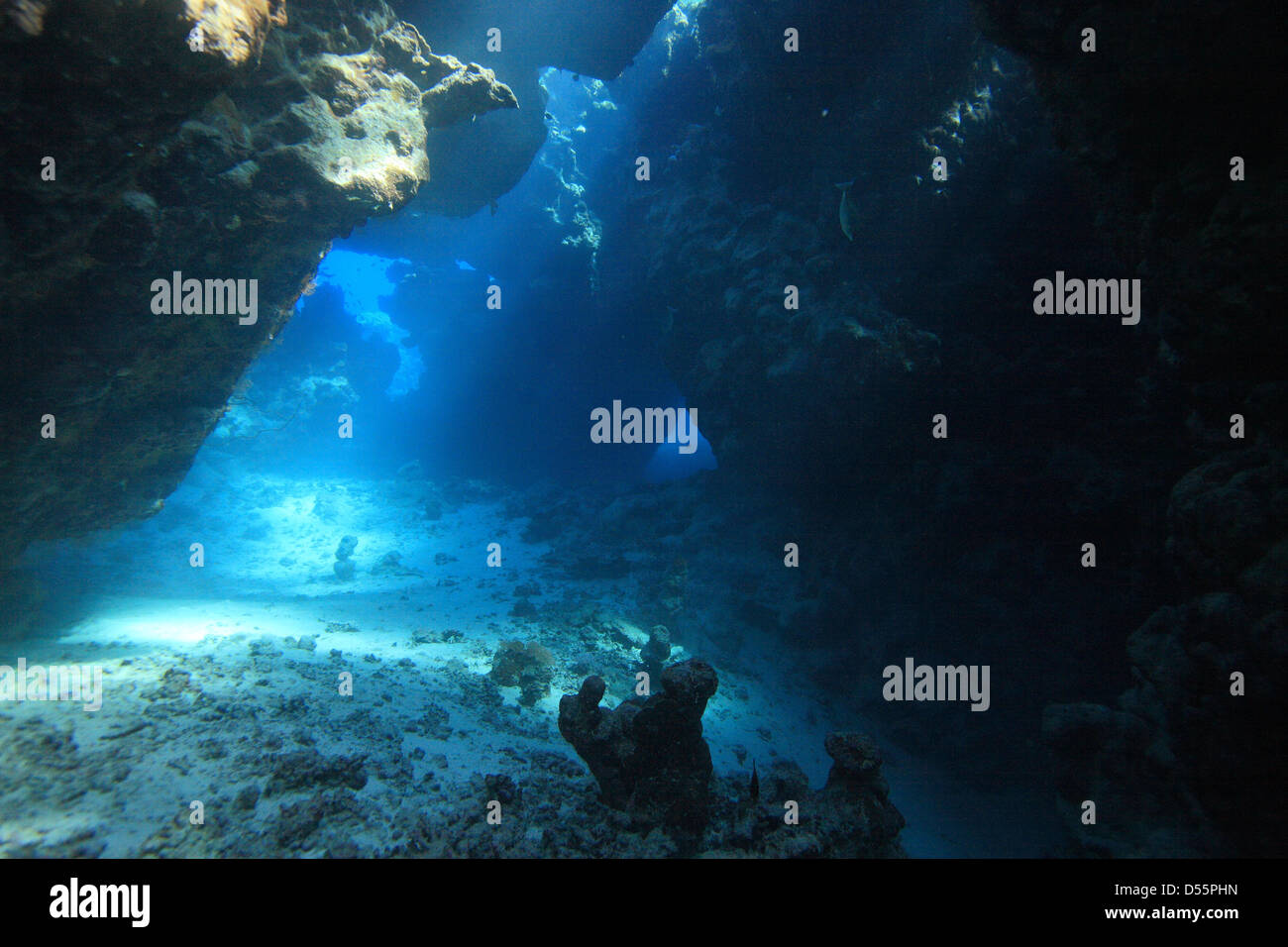 Underwater cave in a coral reef in the Red Sea Stock Photo - Alamy