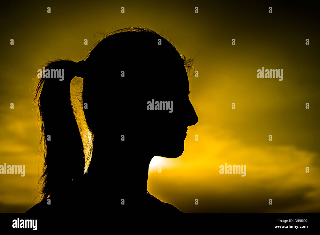 Pretty girl silhouette hi-res stock photography and images - Alamy