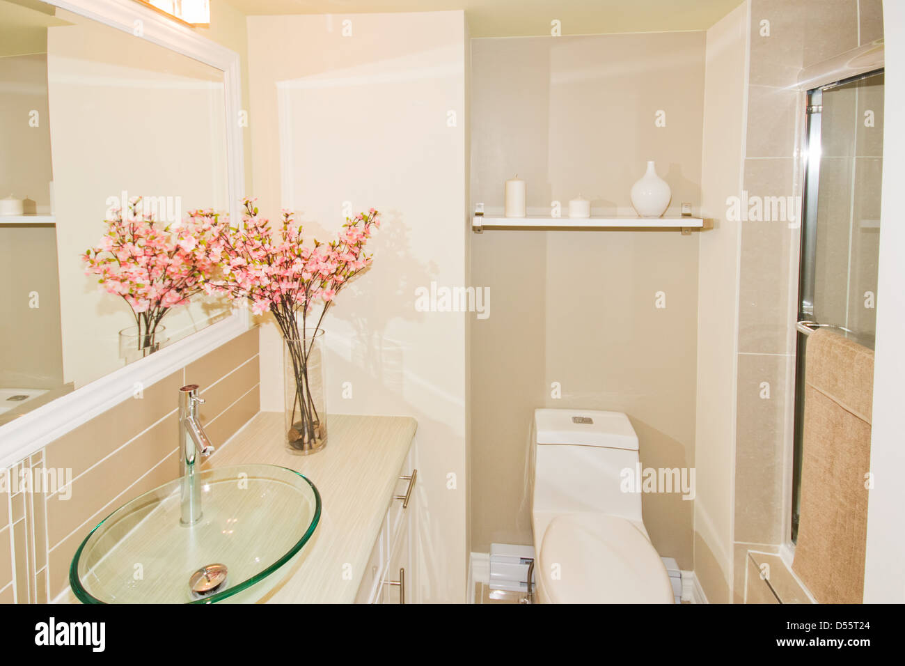 Sparkling clean toilet hi-res stock photography and images - Alamy