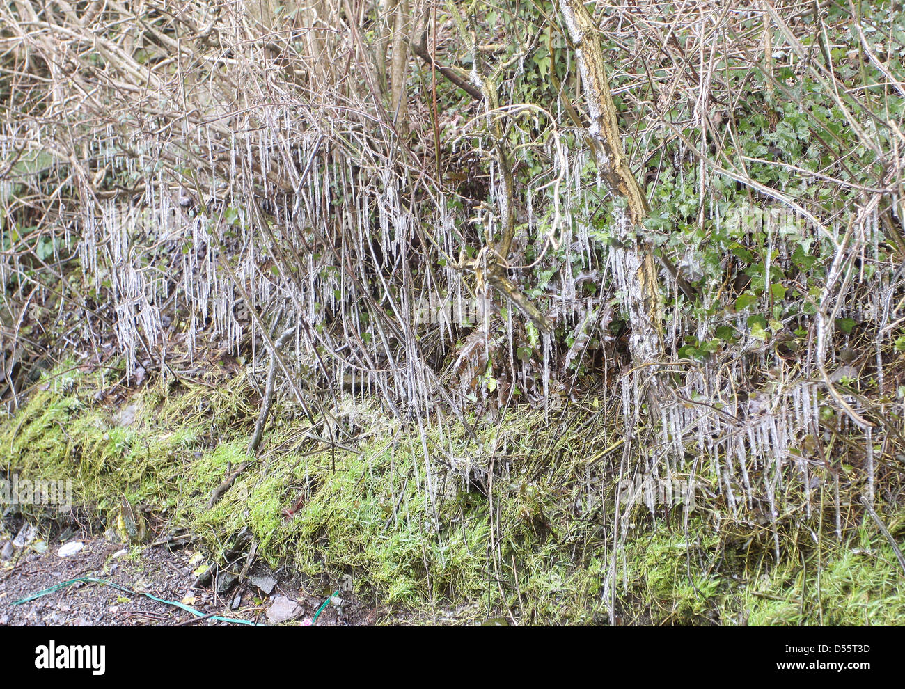 Hanging row hi-res stock photography and images - Alamy