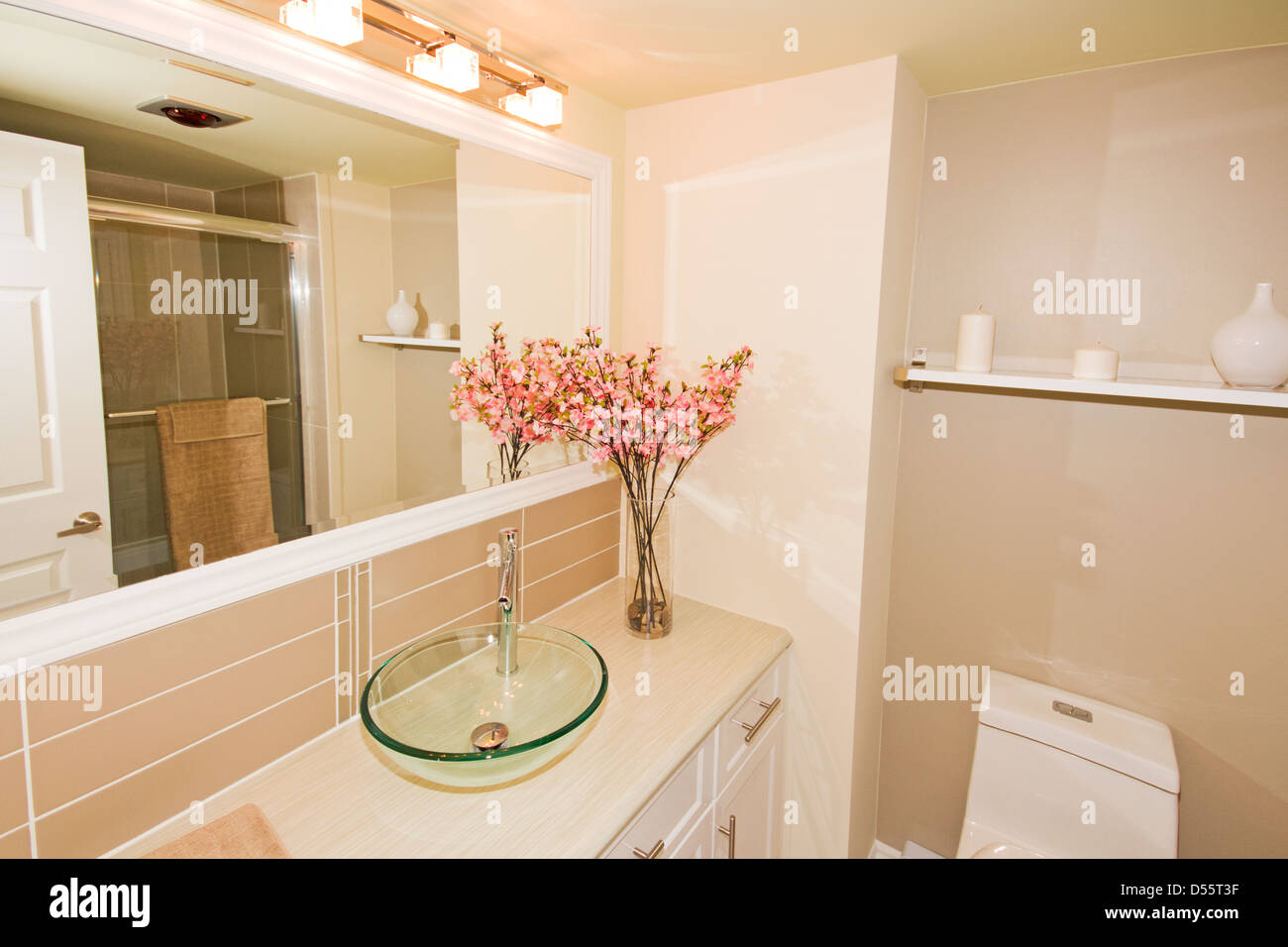 Sparkling clean toilet hi-res stock photography and images - Alamy