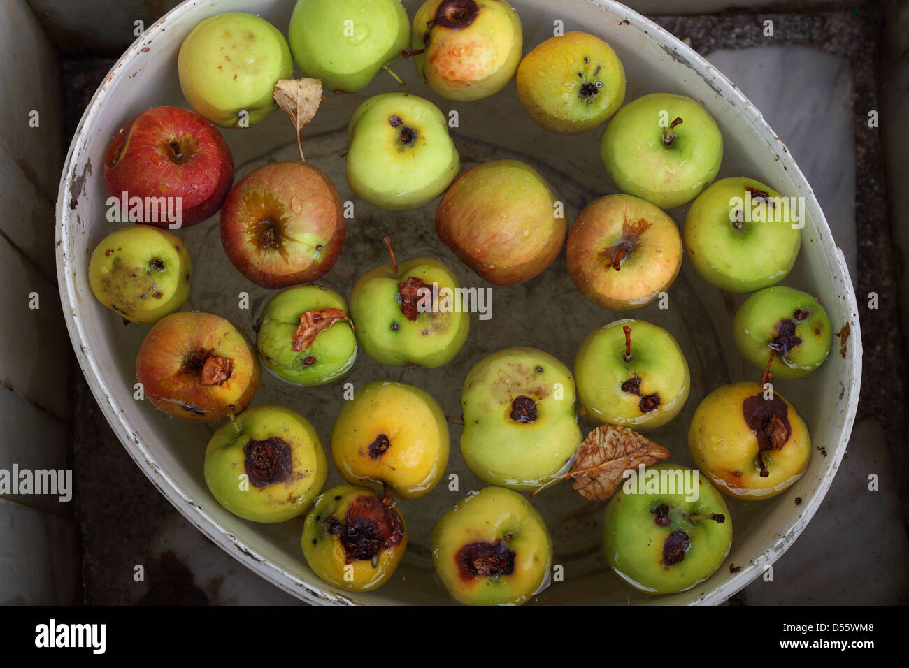 Rotten apples hi-res stock photography and images - Alamy