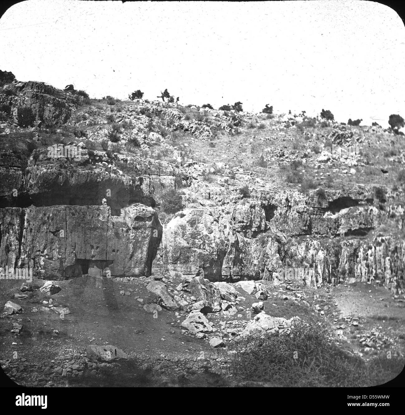 Arak arak Black and White Stock Photos & Images - Alamy