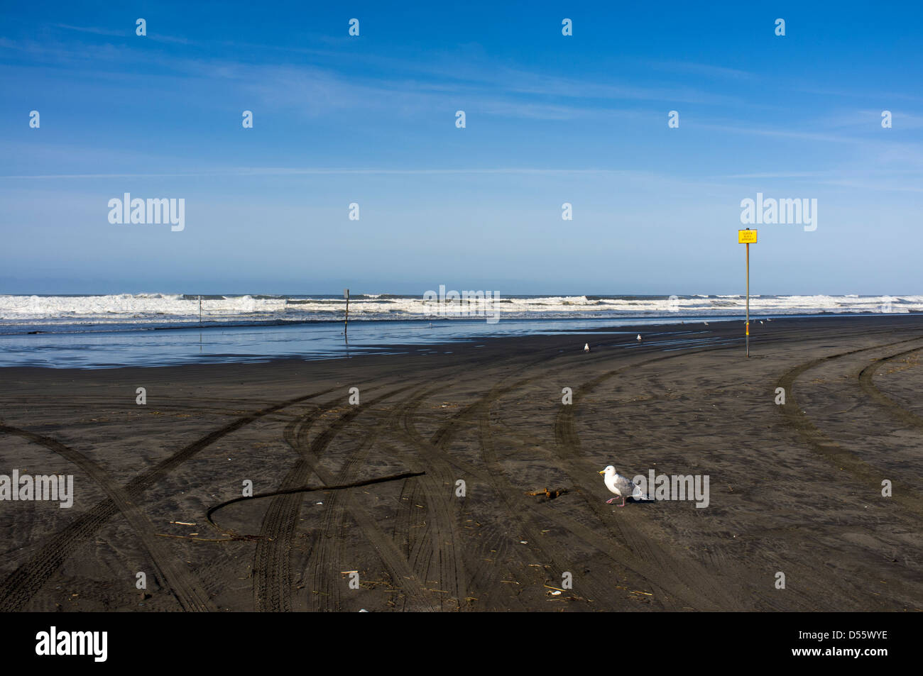 Seaview press hi-res stock photography and images - Alamy