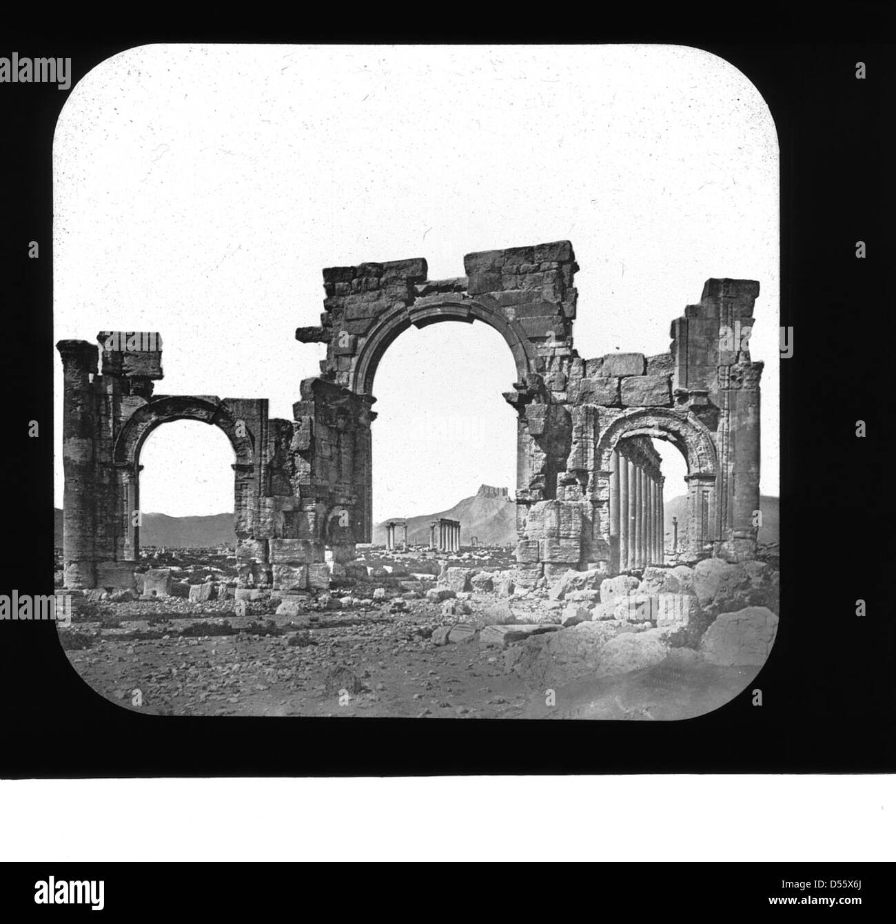 Historic palmyra museum hi-res stock photography and images - Alamy