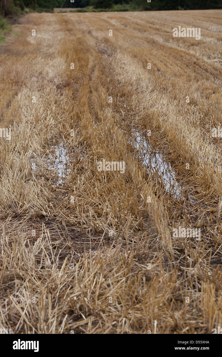 Sodden fields hi-res stock photography and images - Alamy