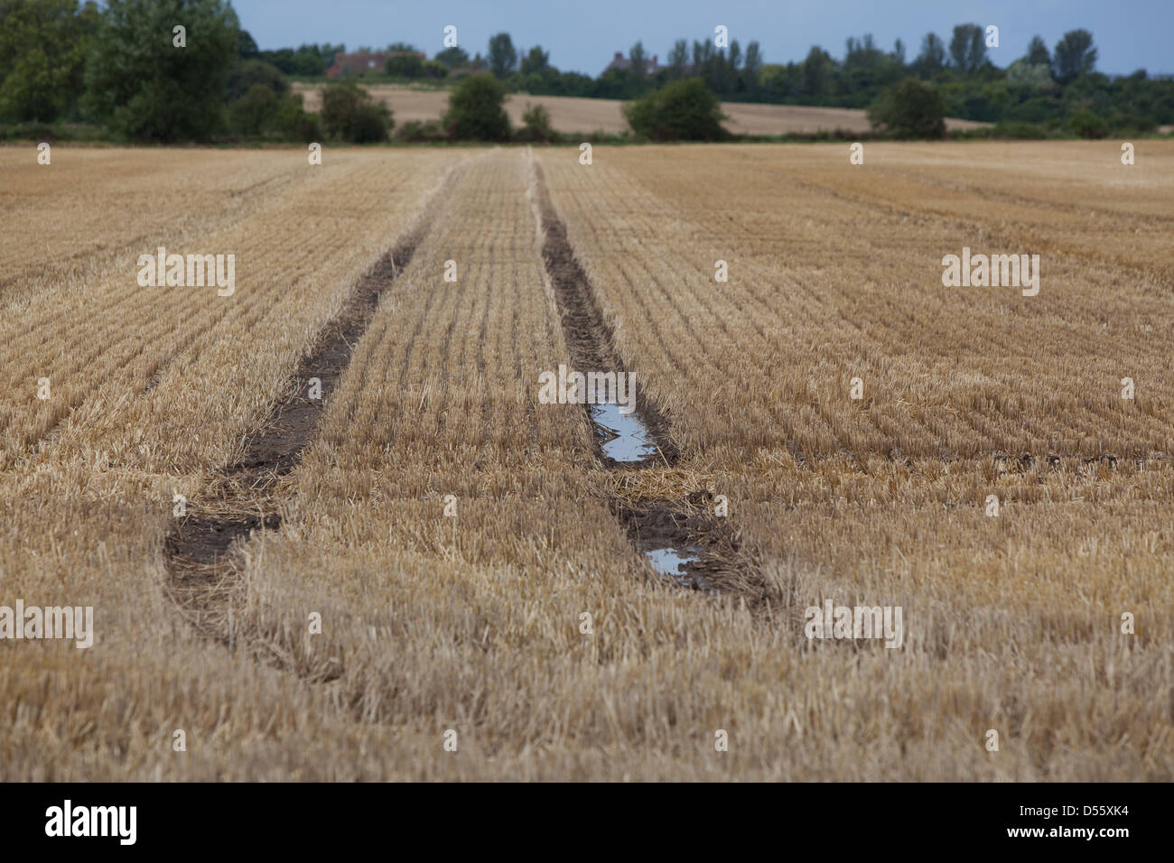 Sodden tracks in a recently harvested field during a very wet summer ...