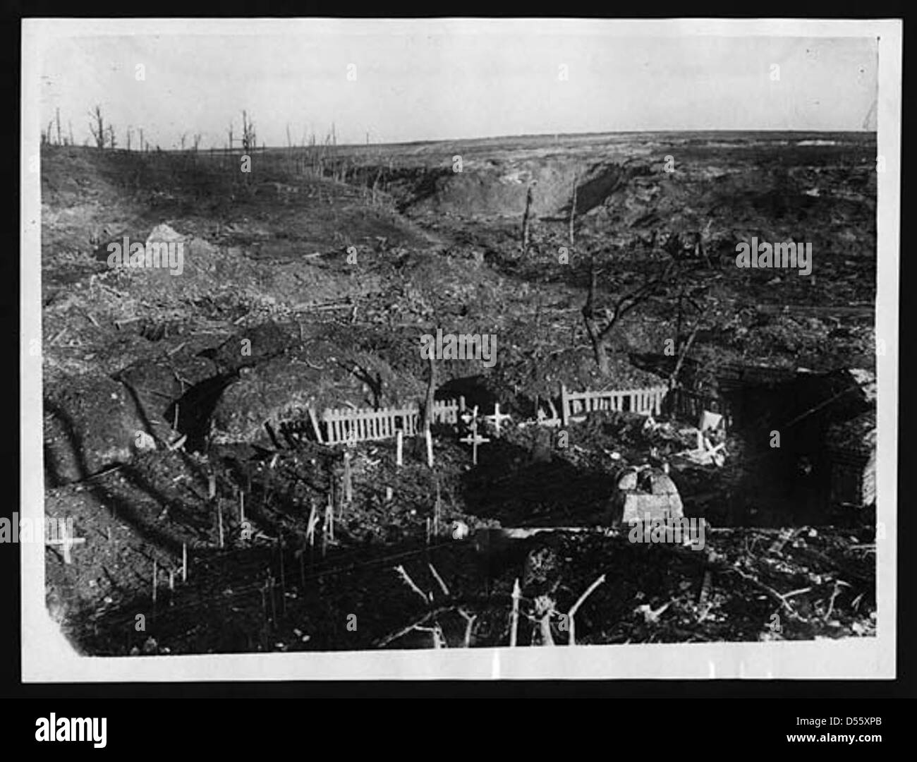 Beaumont Hamel was a key location during the Battle of the Somme in ...