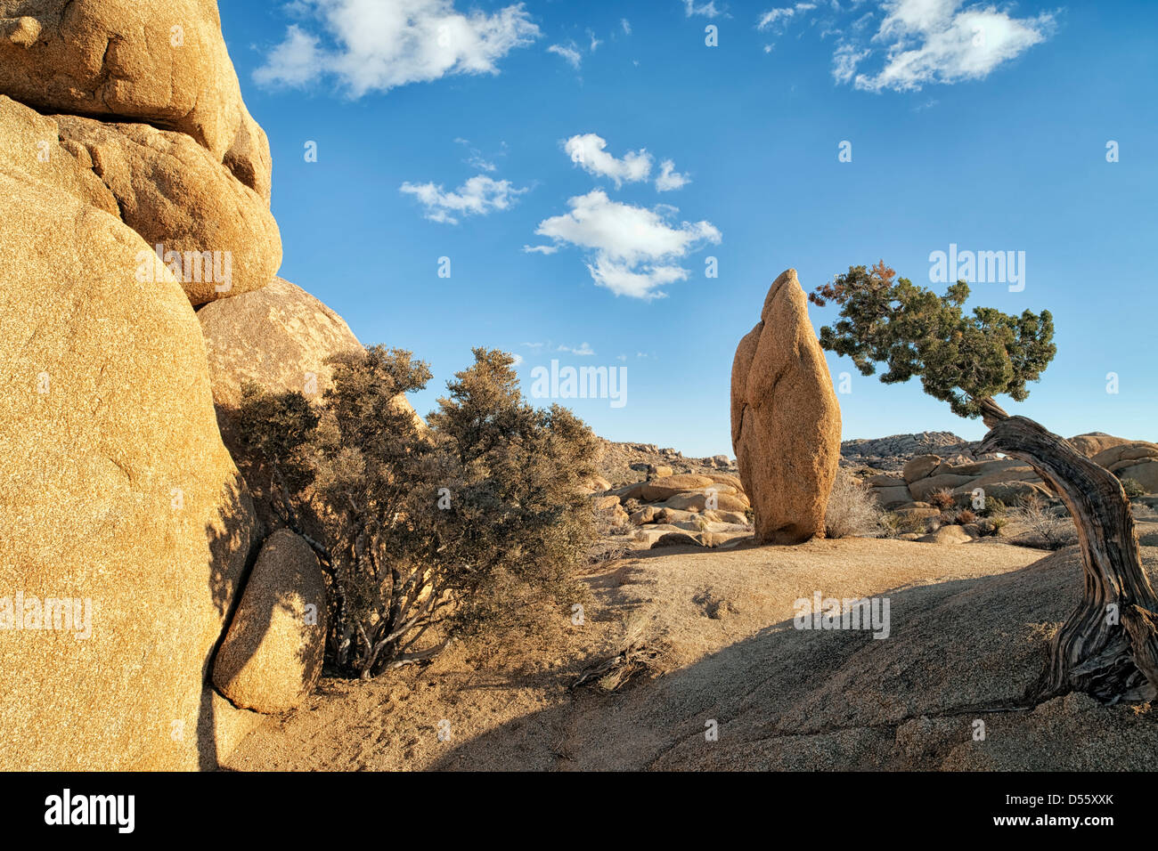 This iconic boulder stands by a juniper tree at Jumbo Rocks in ...