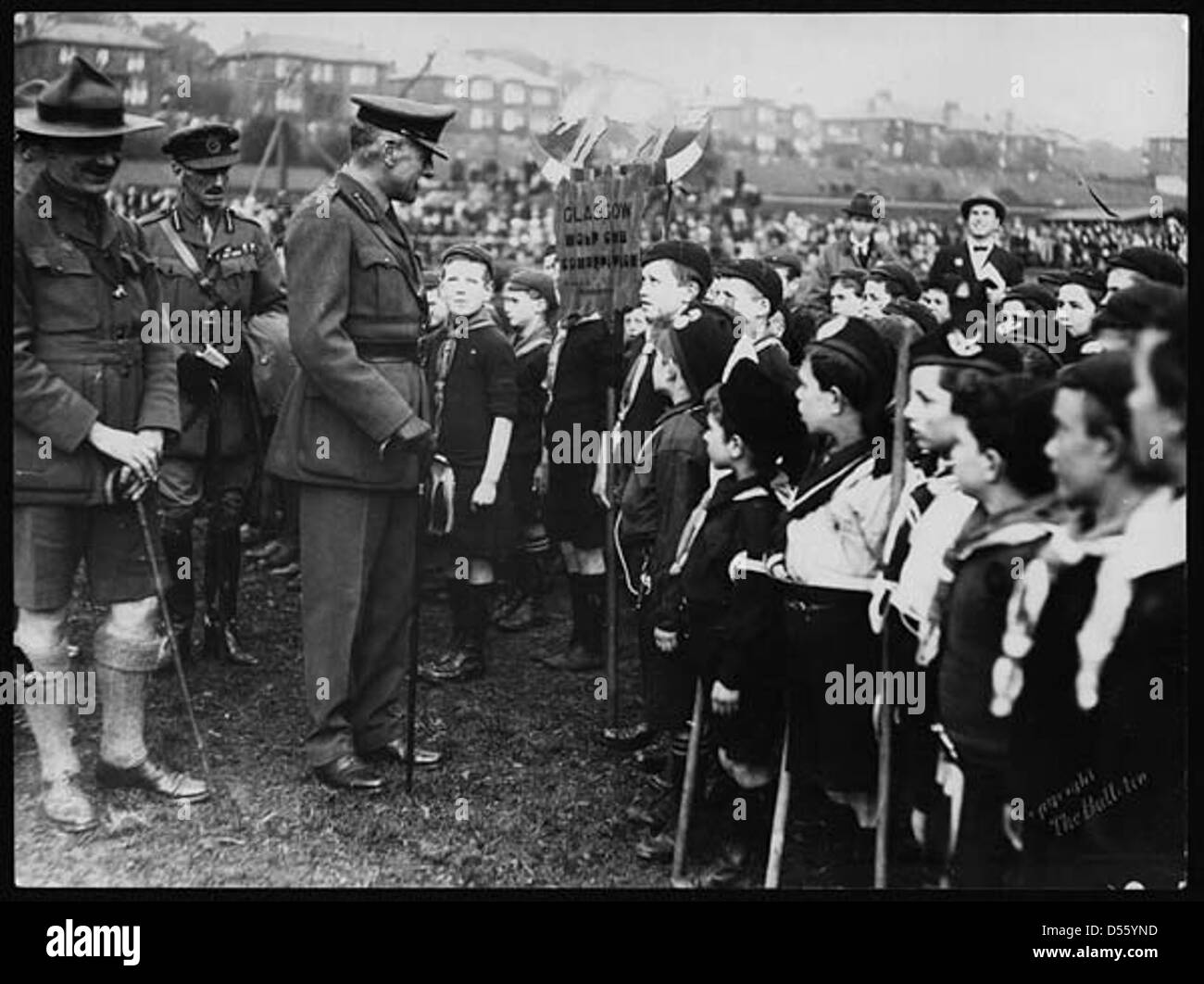 One wolf Black and White Stock Photos & Images - Alamy