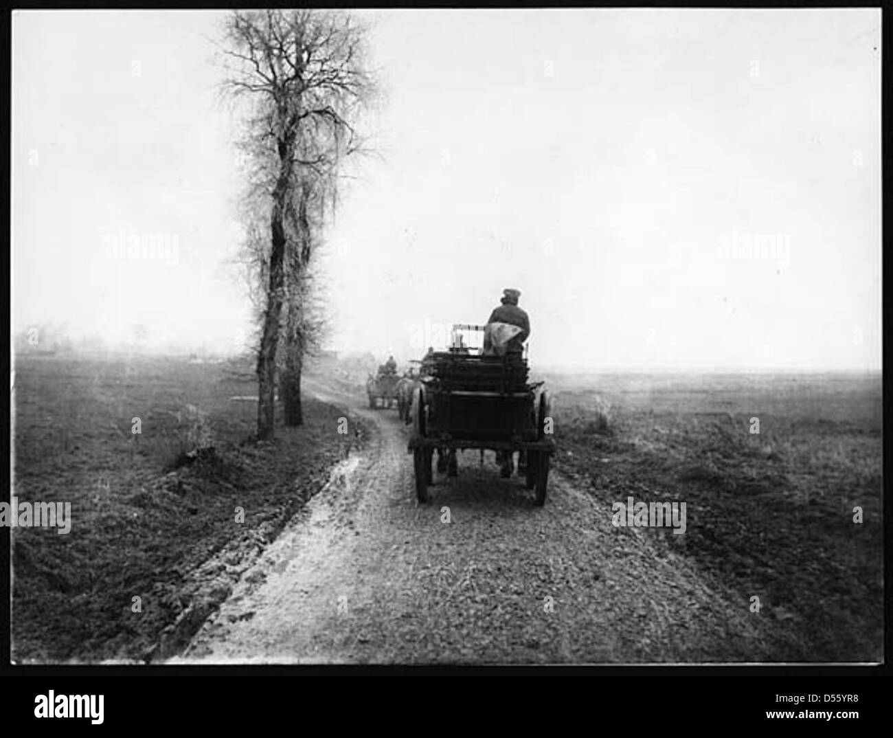 A winter scene from World War I showing frosted trees. The image ...