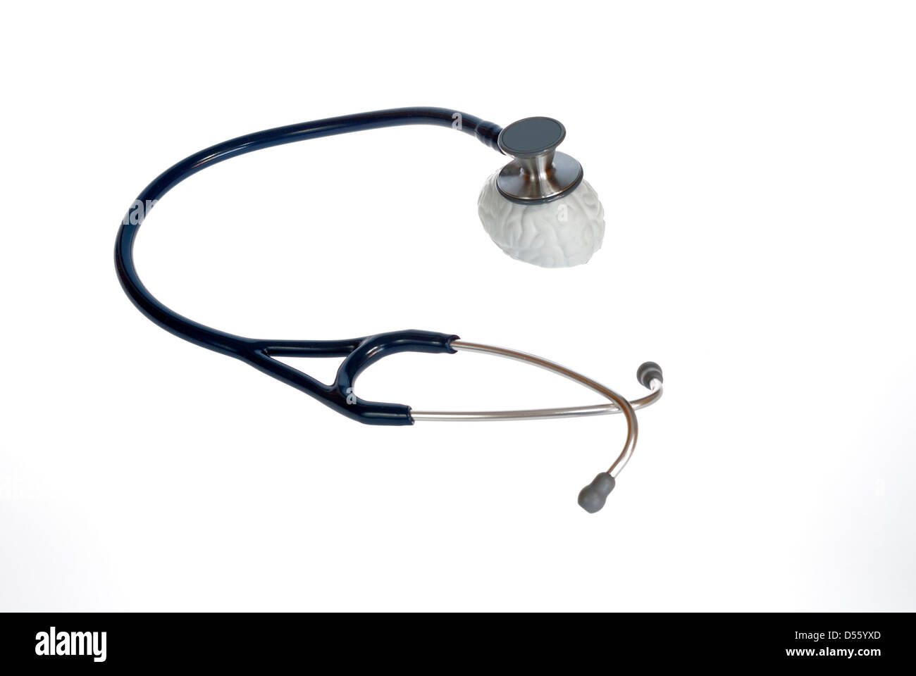 Rubber brain gets a checkup with a stethoscope Stock Photo - Alamy
