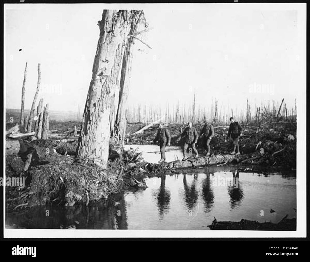 An improvised bridge constructed over the Ancre River during World War ...