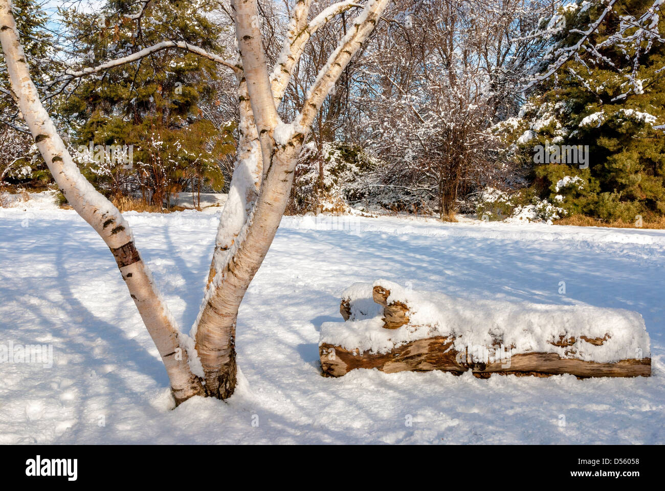 City park with snow hi-res stock photography and images - Alamy