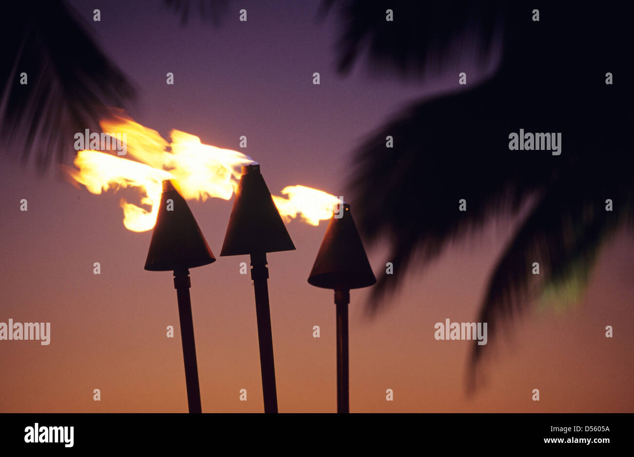 Hawaii torches palm trees hi-res stock photography and images - Alamy