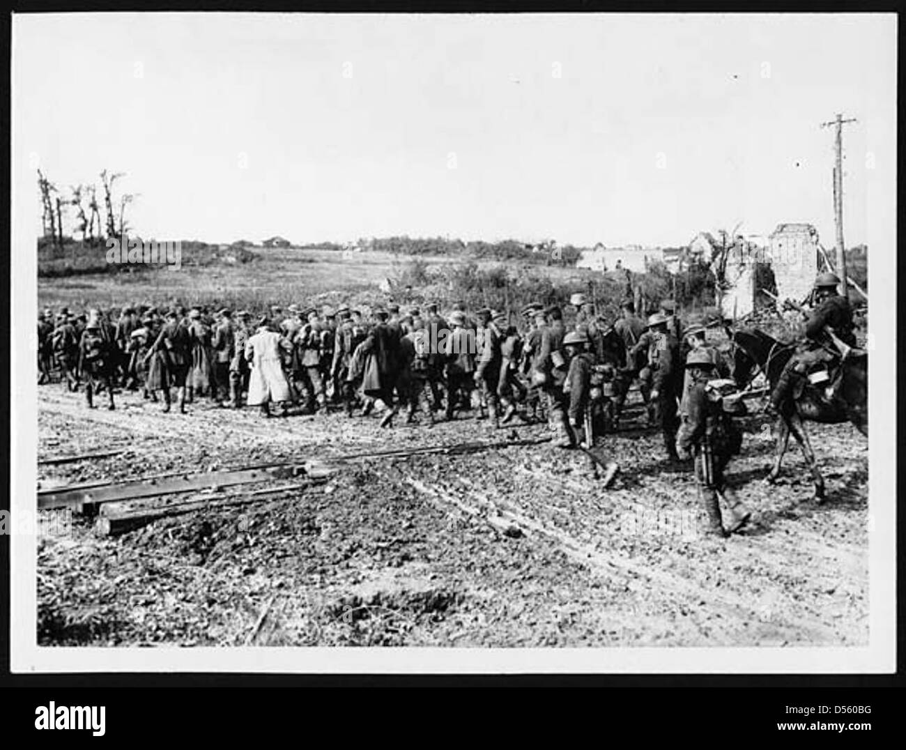 From an advanced area a batch of prisoners is seen going back Stock ...