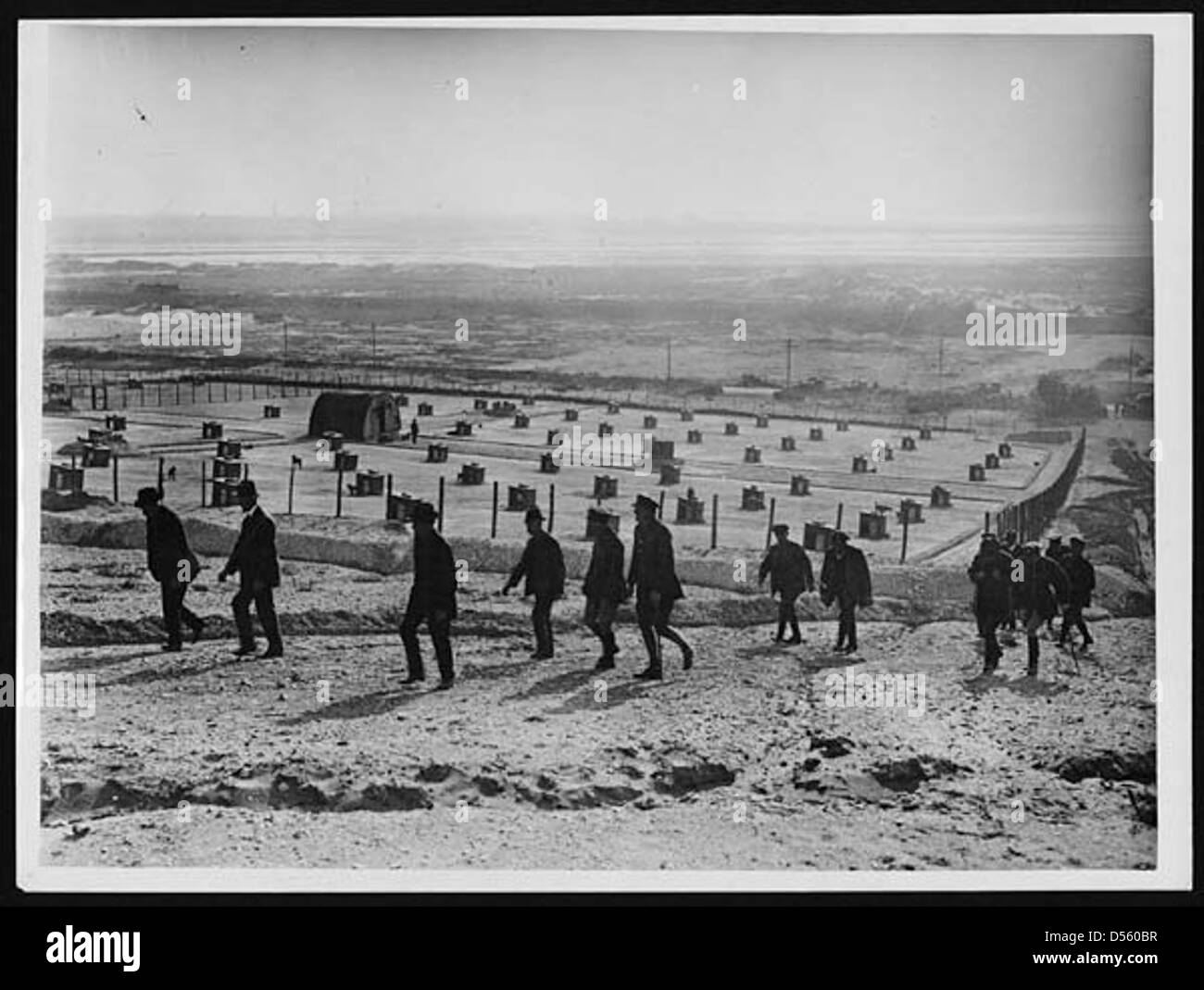 Messenger dog ww1 hi-res stock photography and images - Alamy