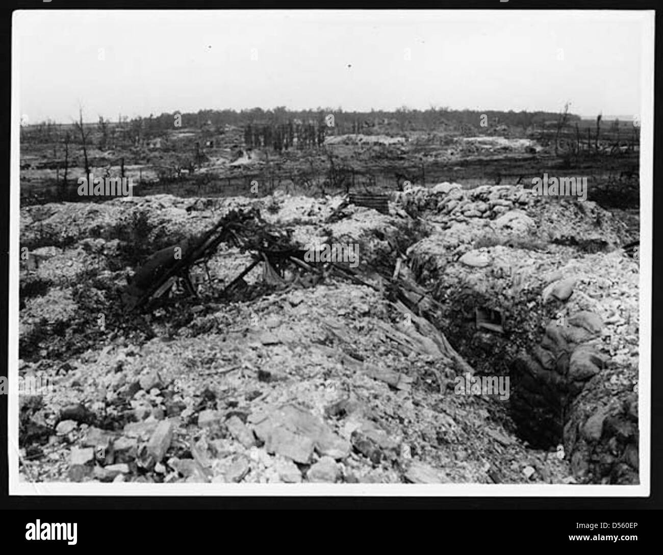 A distant view of Mametz shows the aftermath of battle, with battered ...