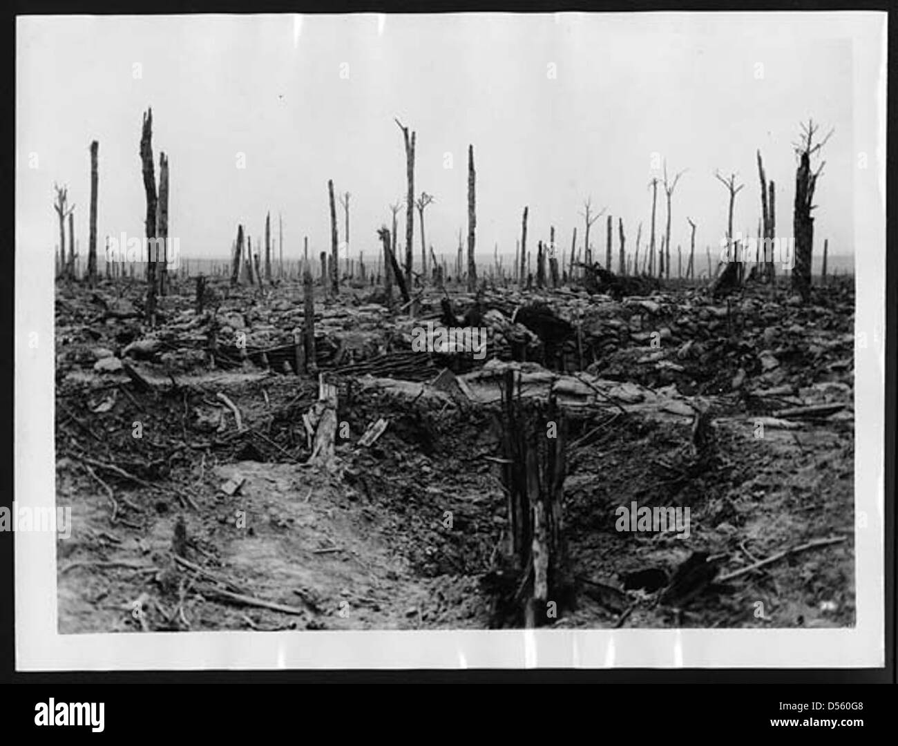 The impact of British artillery during World War I is shown here, with ...