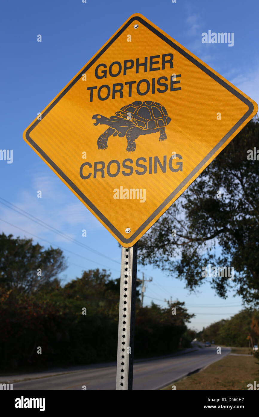 Animal road signs tortoise hi-res stock photography and images - Alamy