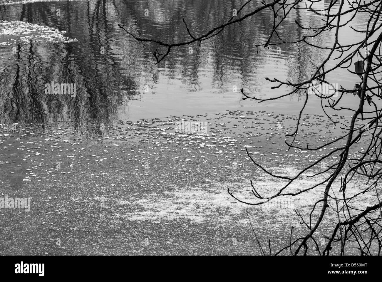 River water texture Black and White Stock Photos & Images - Alamy