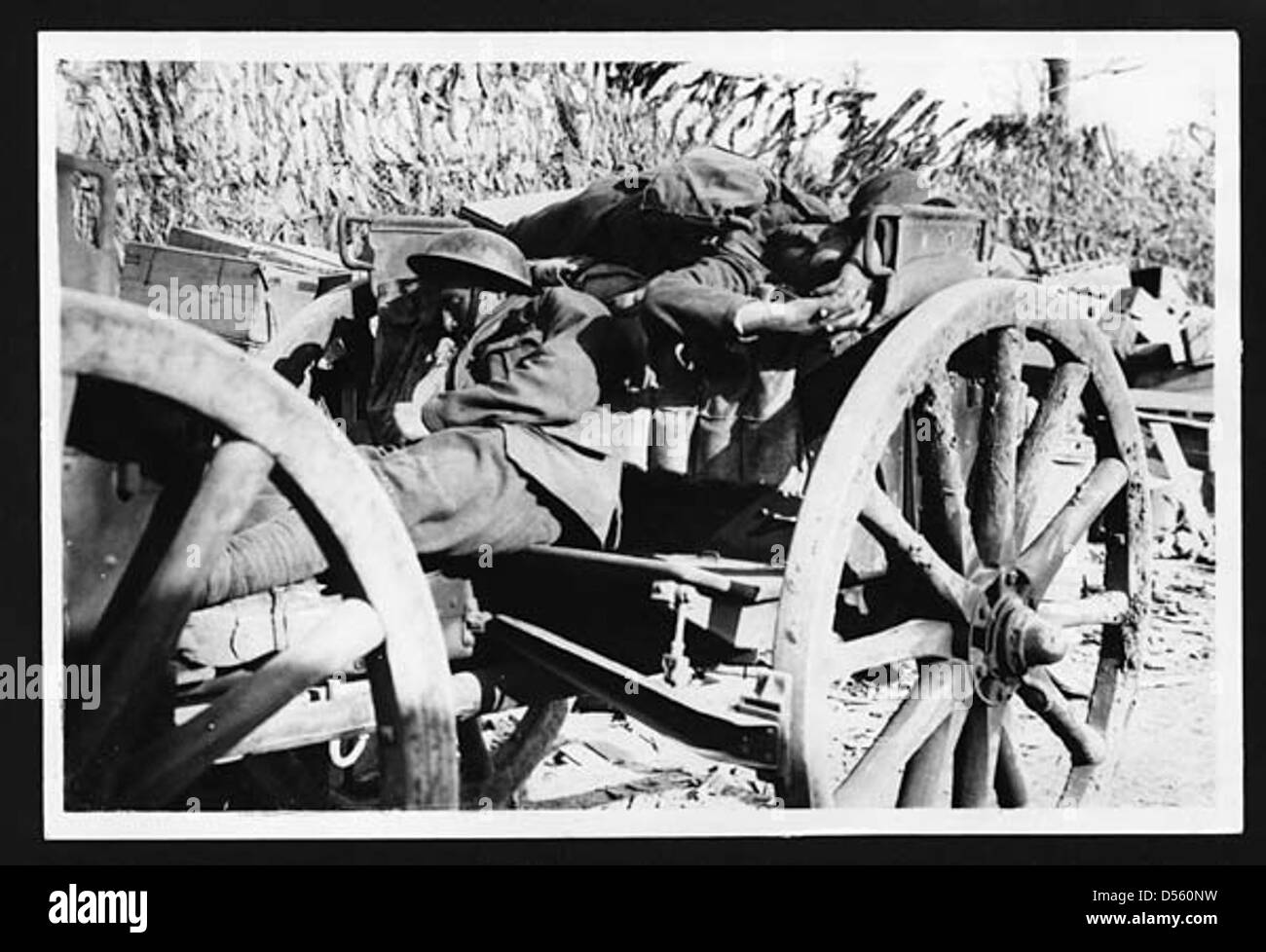 The Battle for the Ridges was a significant engagement during World War ...