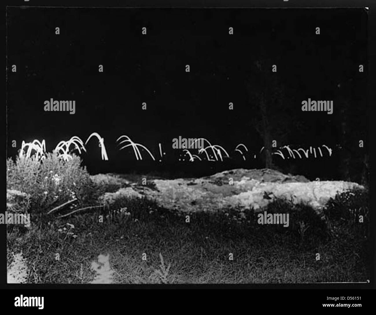 A night scene within the Australian lines on the Western Front ...