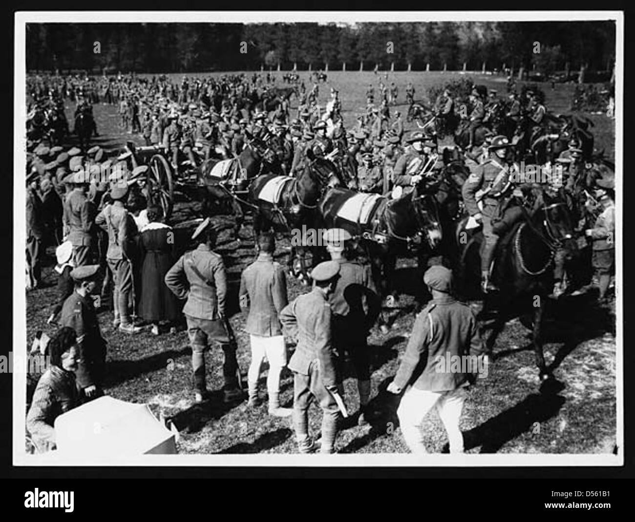 A well-maintained gun team, admired by fellow soldiers for their ...