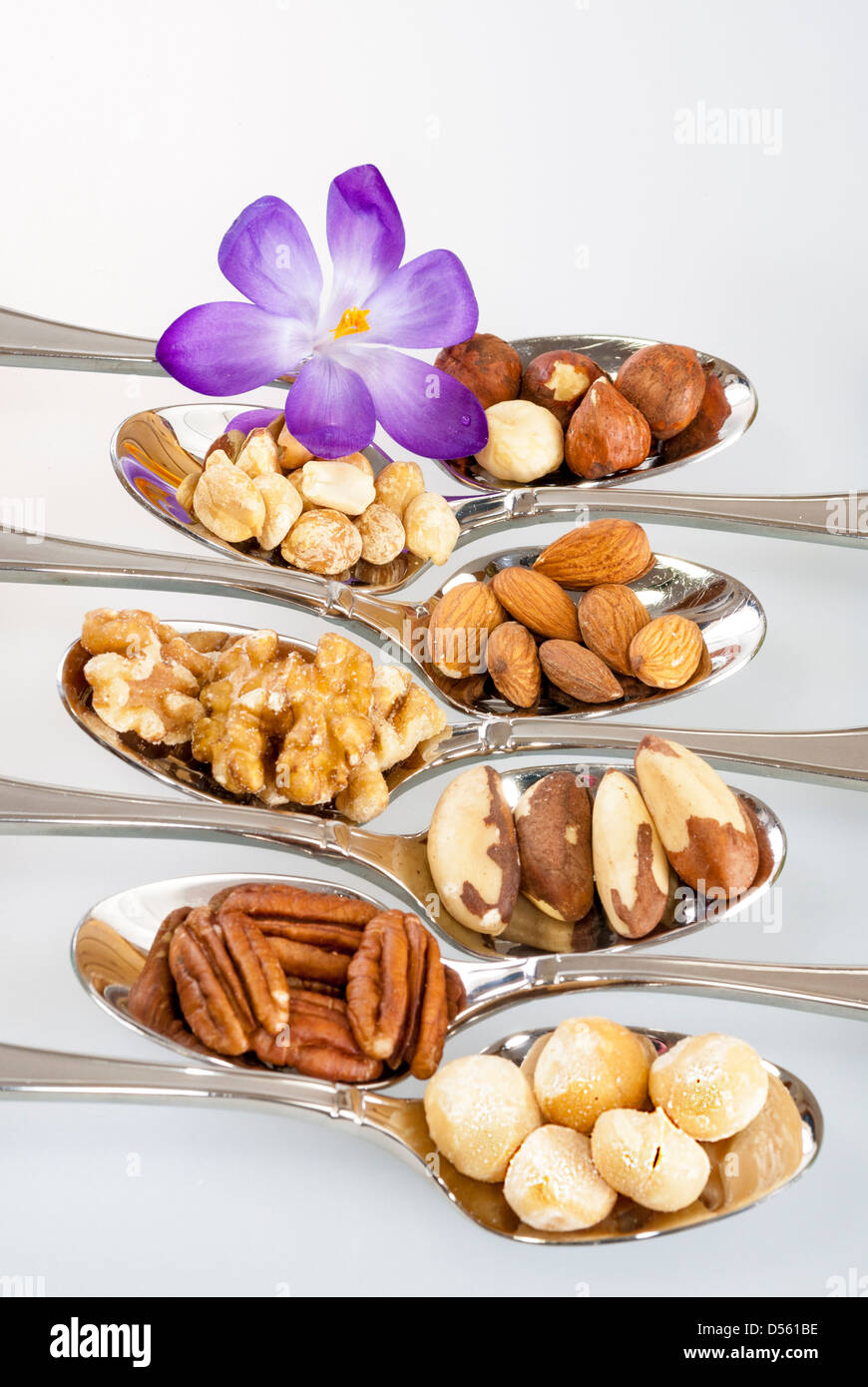 Different nuts on spoons Stock Photo - Alamy
