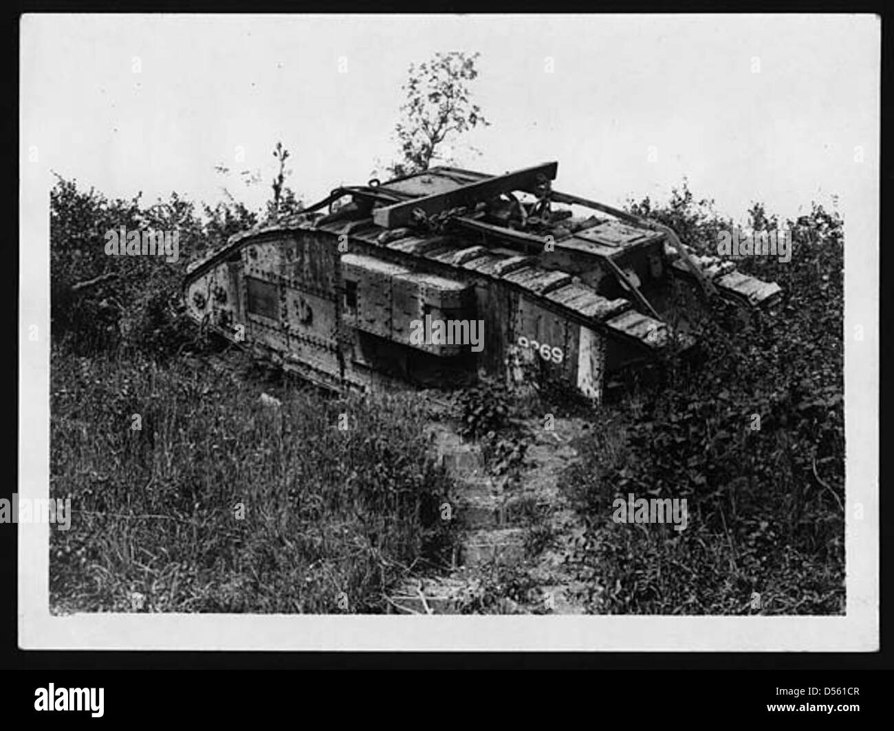 British tank going forward to clear some undergrowth Stock Photo - Alamy