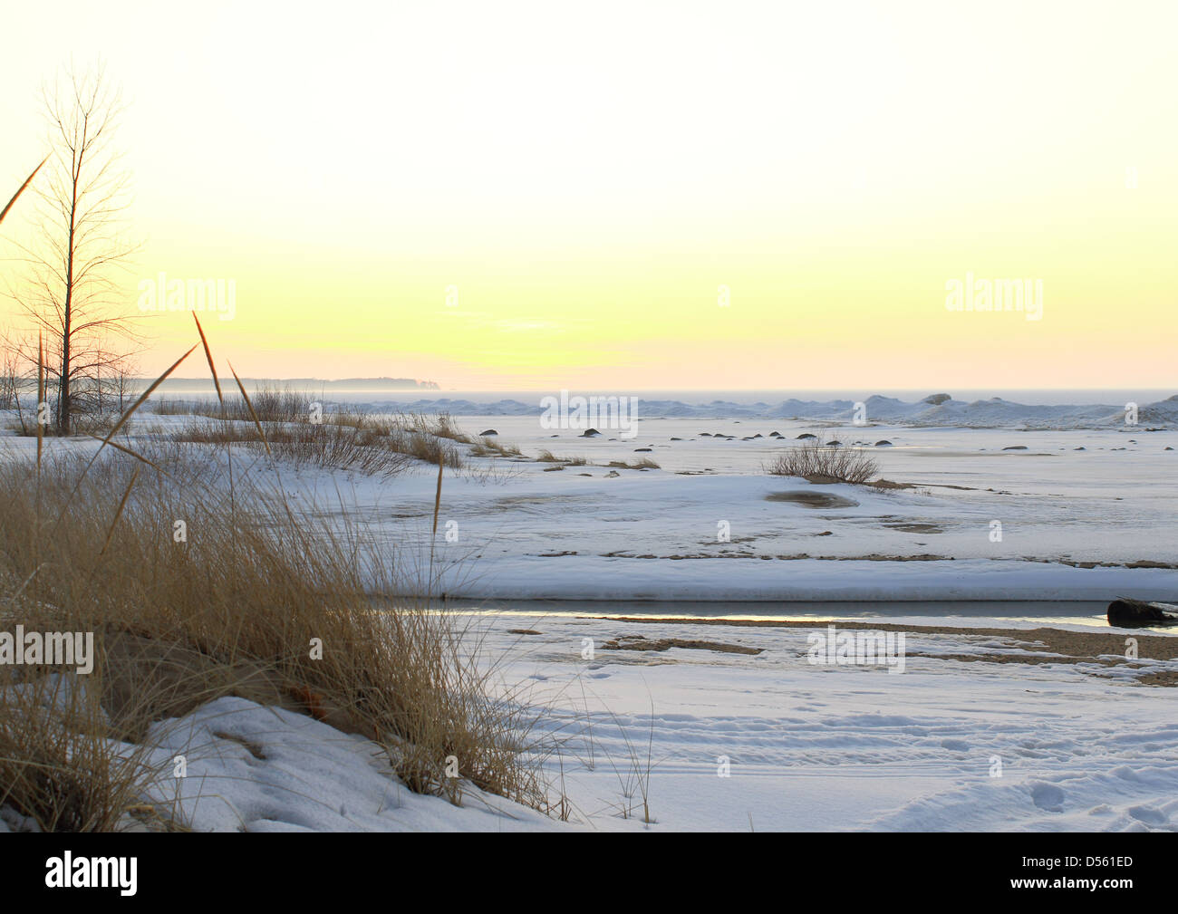 Windswept winter beach Stock Photo - Alamy