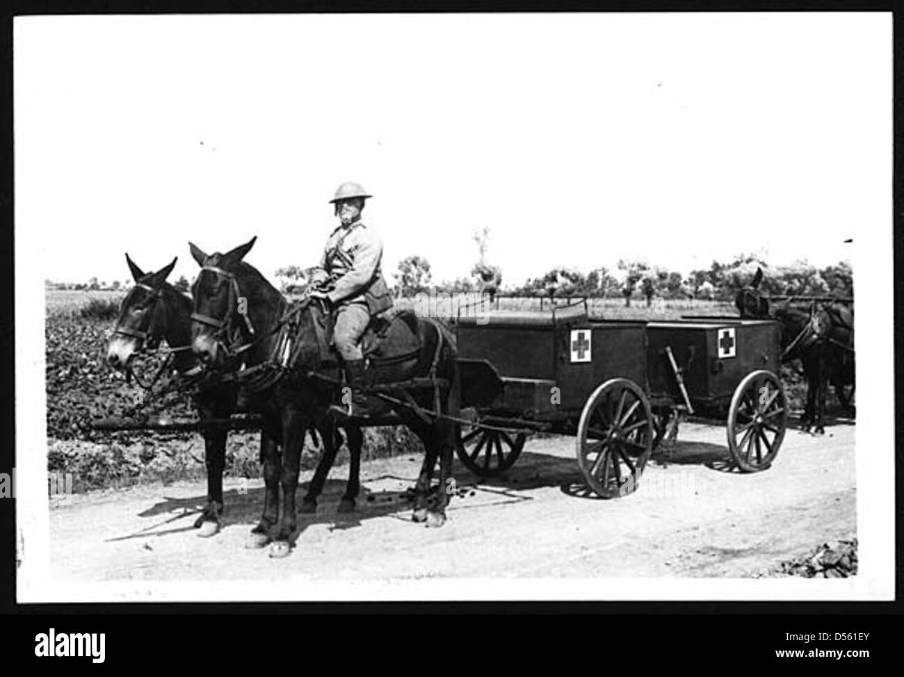 Red cross world war one Black and White Stock Photos & Images - Alamy