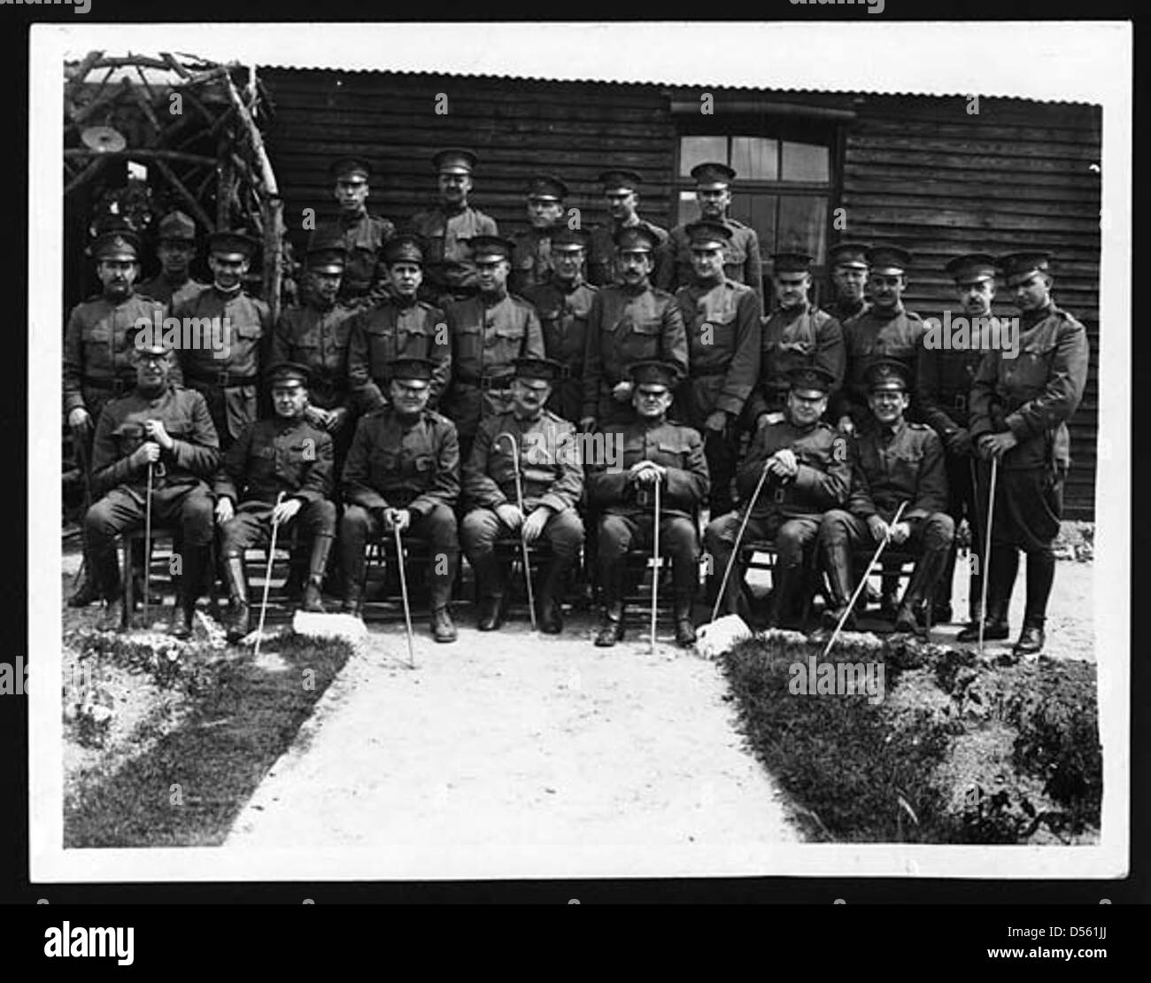 Group of medical officers Stock Photo - Alamy