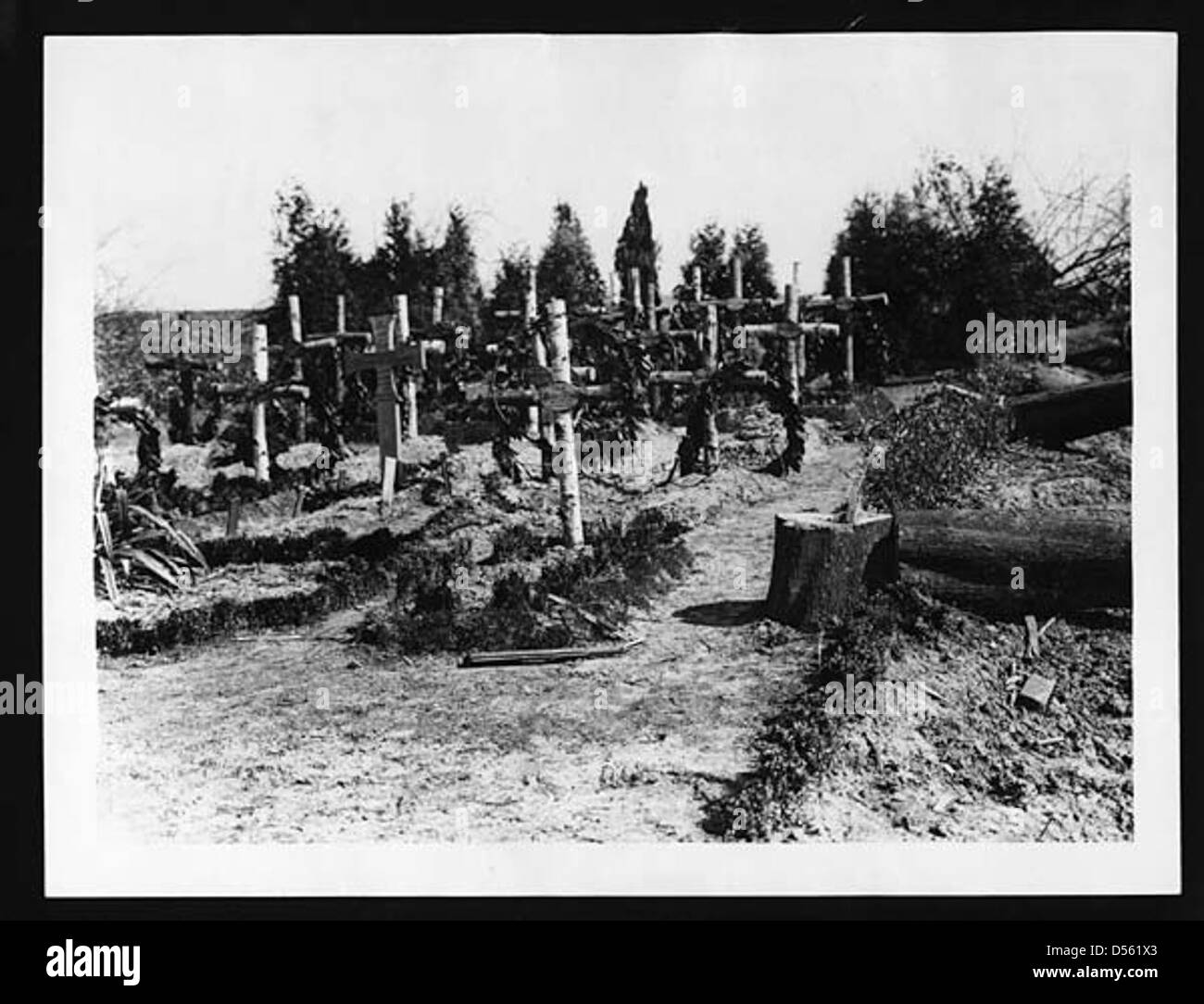 Graves of German soldiers, marking the final resting places of those ...