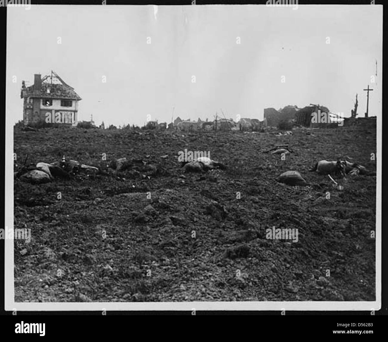 First battle of flanders Black and White Stock Photos & Images - Alamy