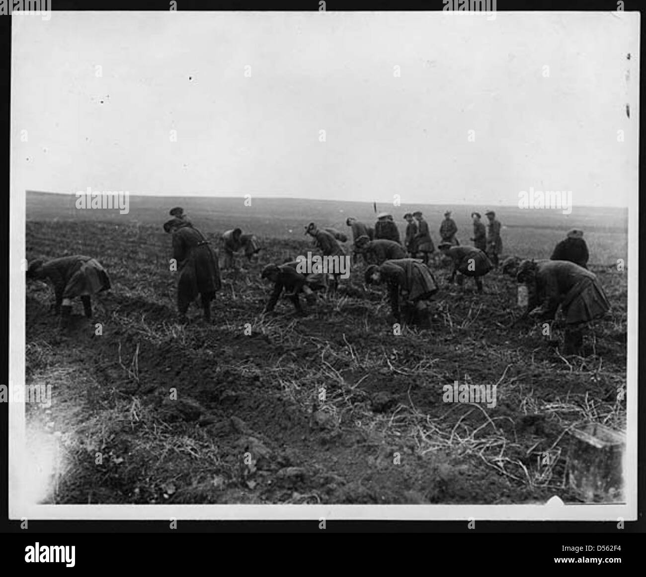 British soldiers wwi trench food hi-res stock photography and images ...