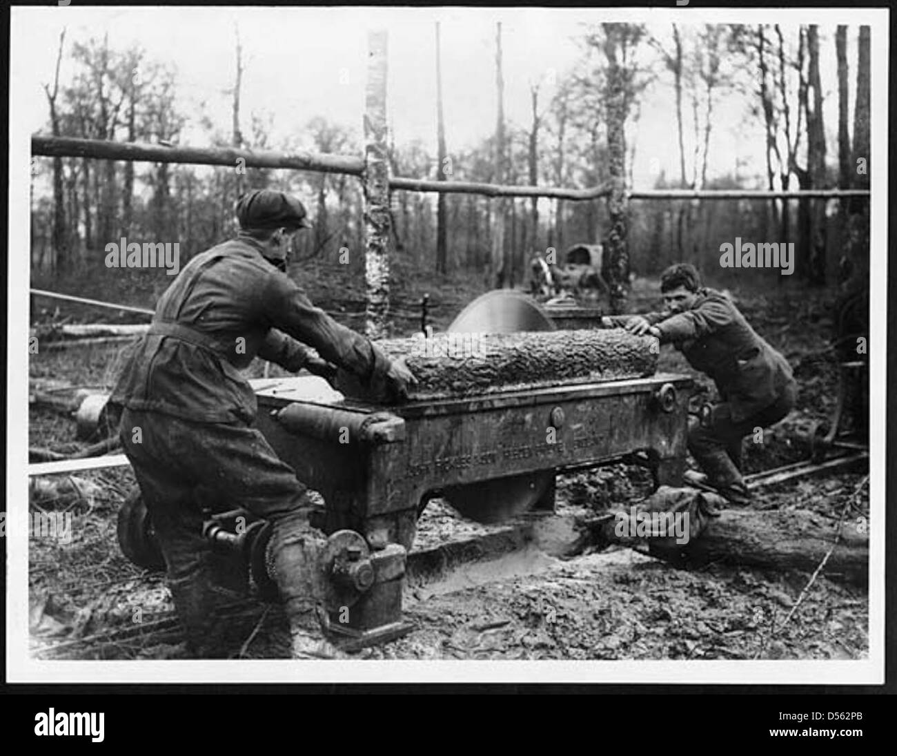 World war i logging hi-res stock photography and images - Alamy