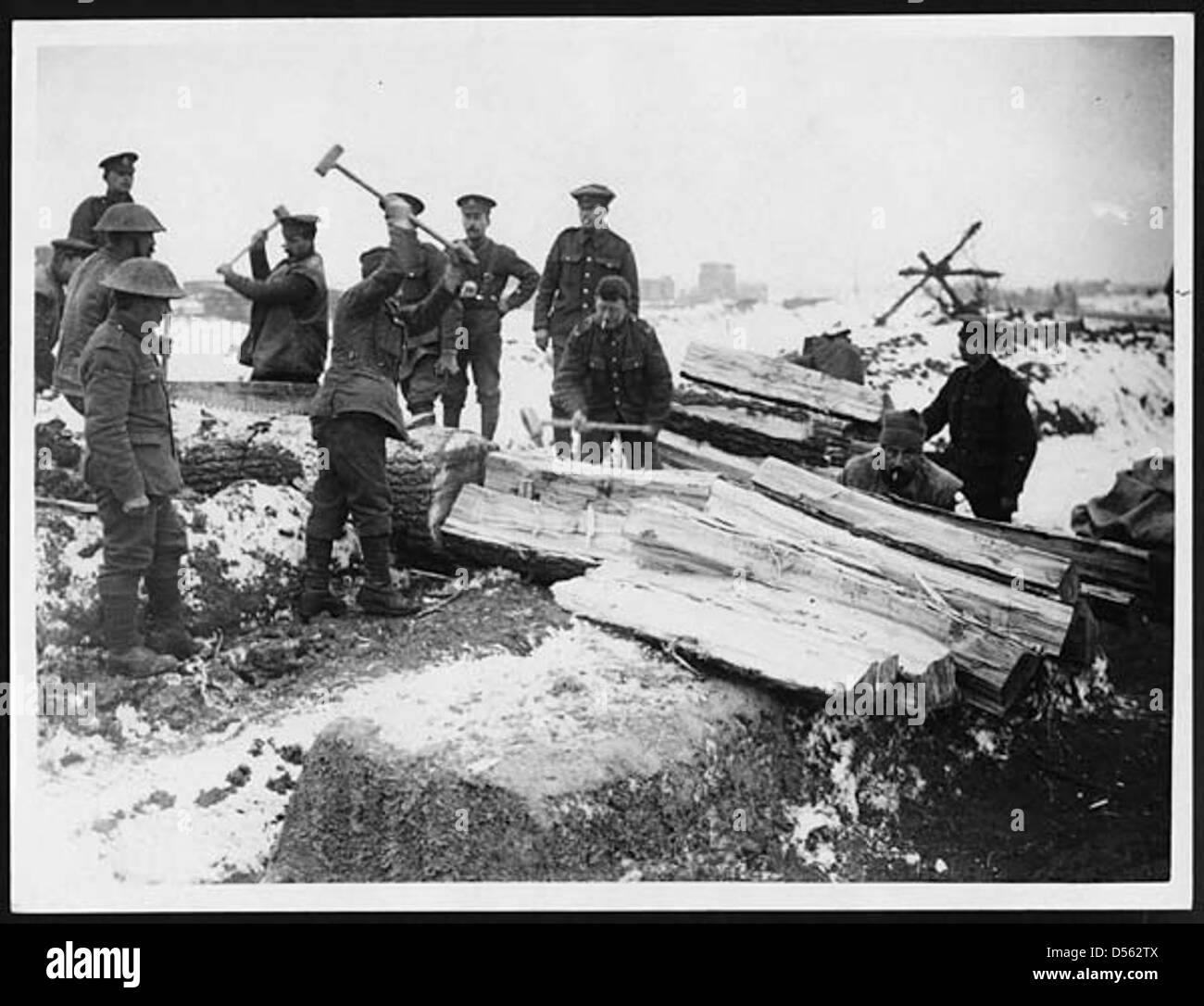 British soldiers cutting up a tree for logs during World War One ...