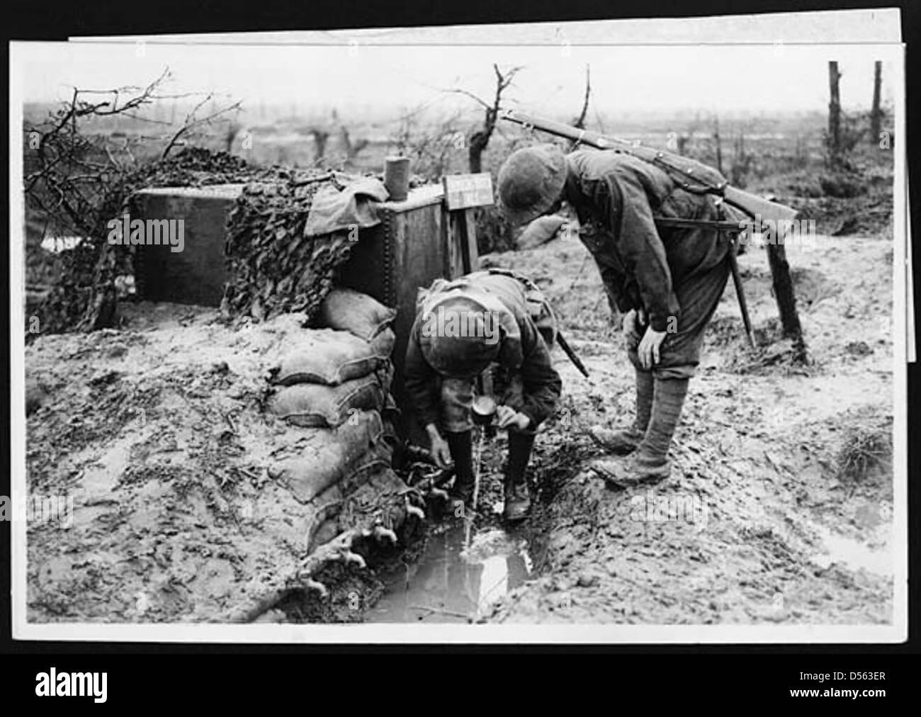 Coldstream guards 1914 hi-res stock photography and images - Alamy