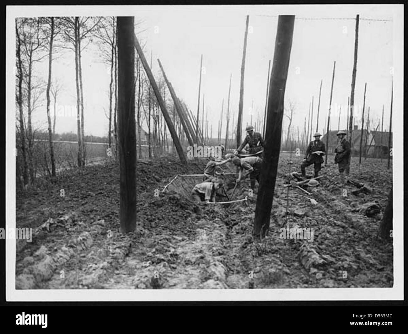 Troops digging trenches in a hop field Stock Photo - Alamy