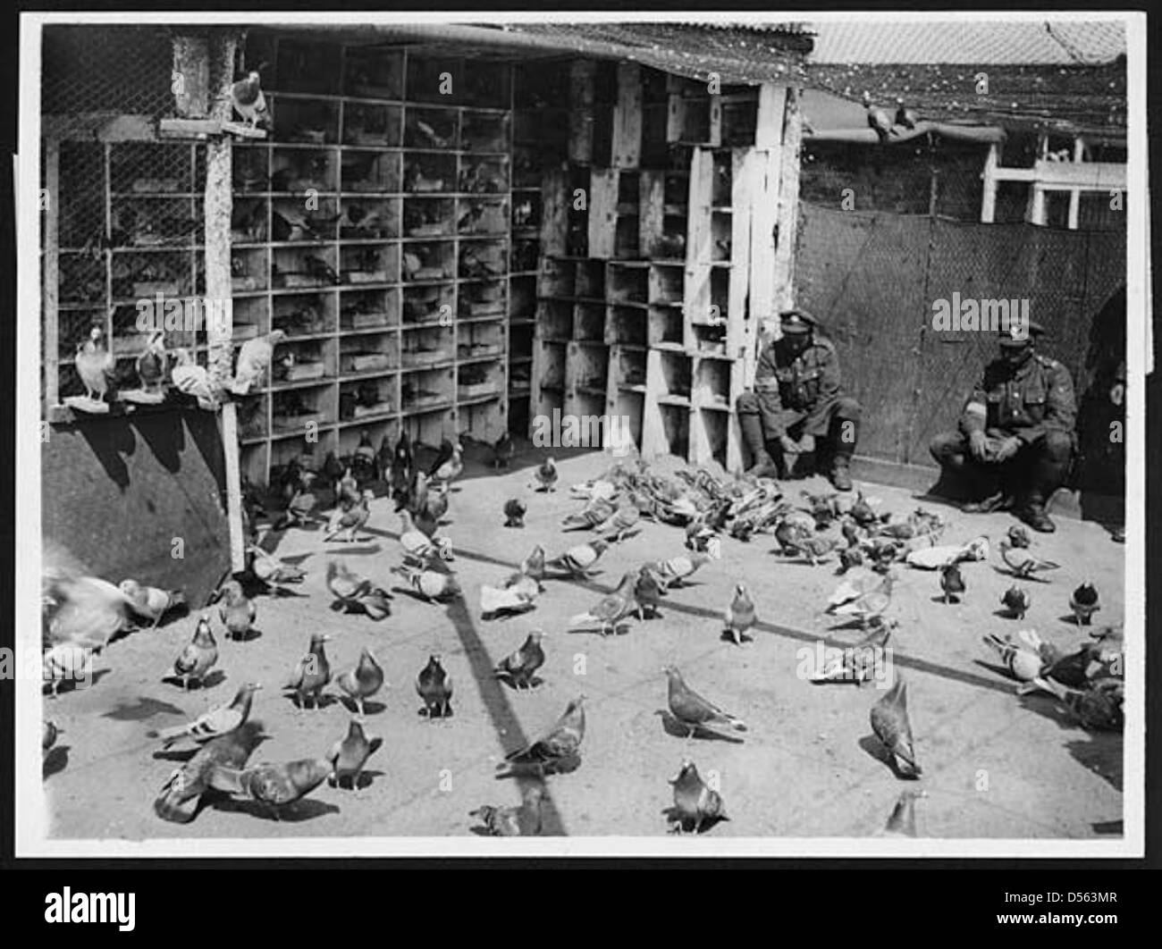 Wwi trench food hi-res stock photography and images - Alamy