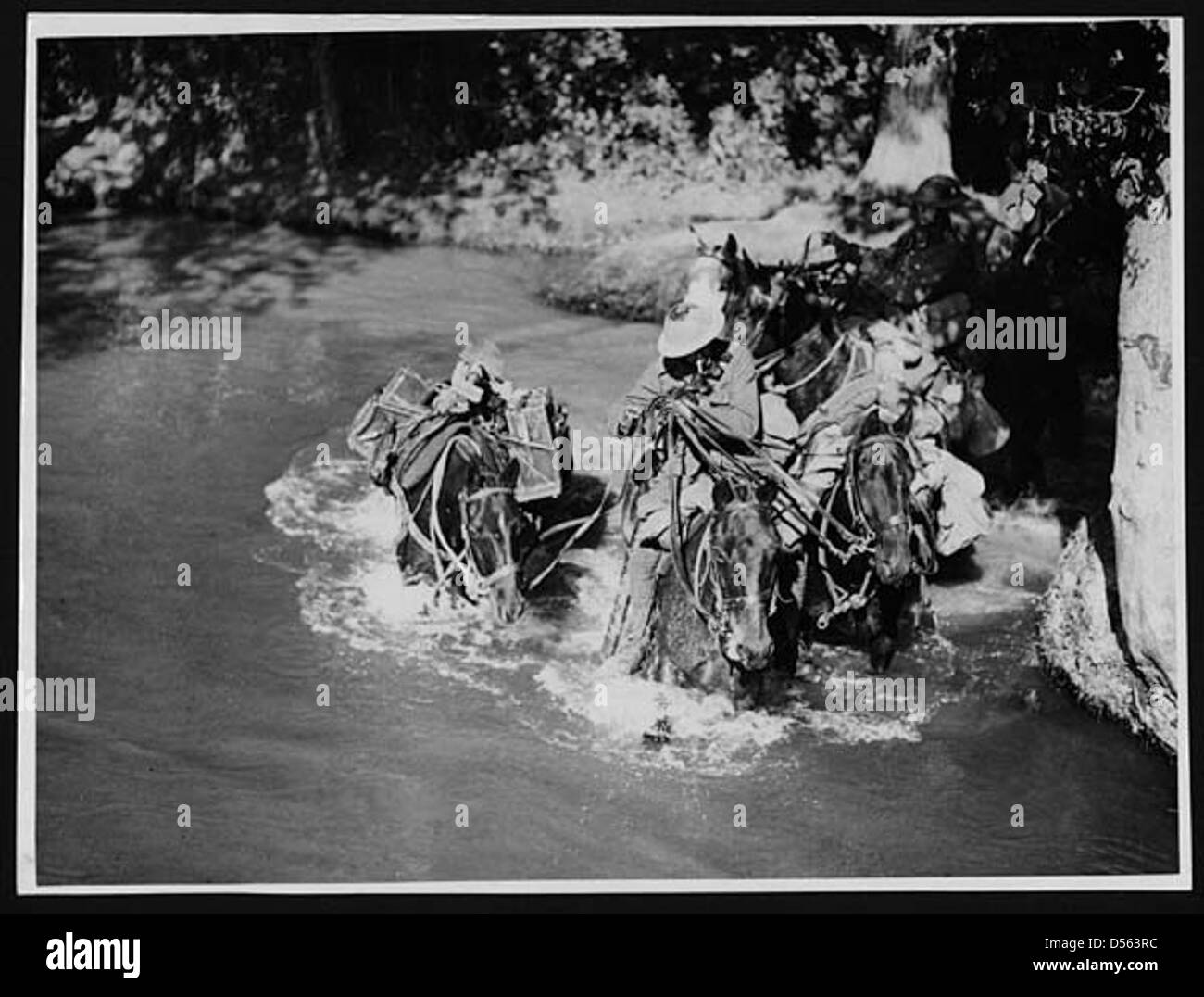 A soldier rides through a stream during World War I, possibly ...