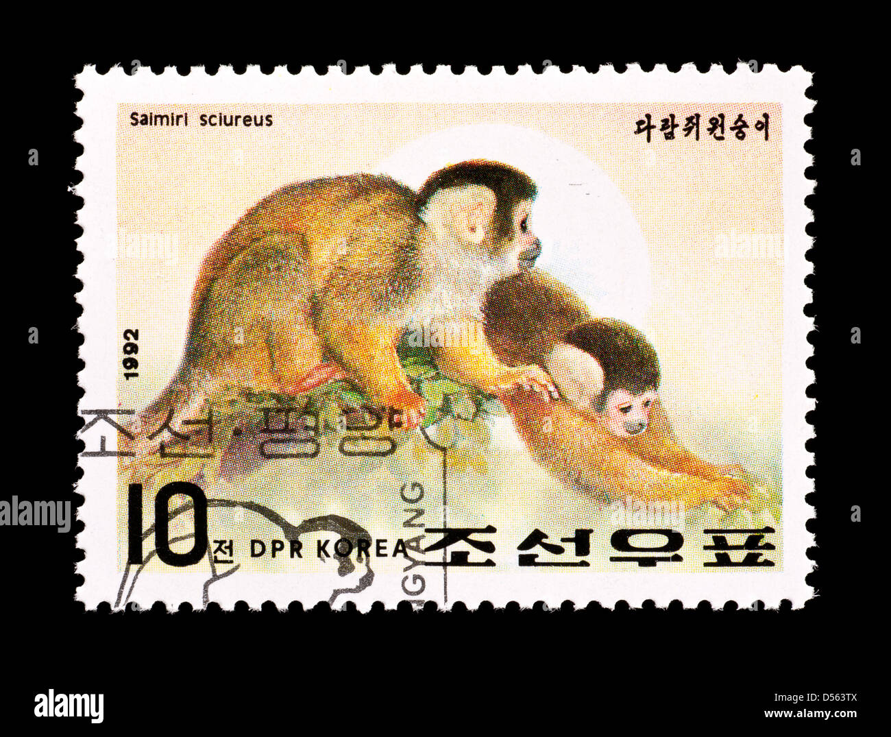 Postage stamp from North Korea depicting common squirrel monkey ...