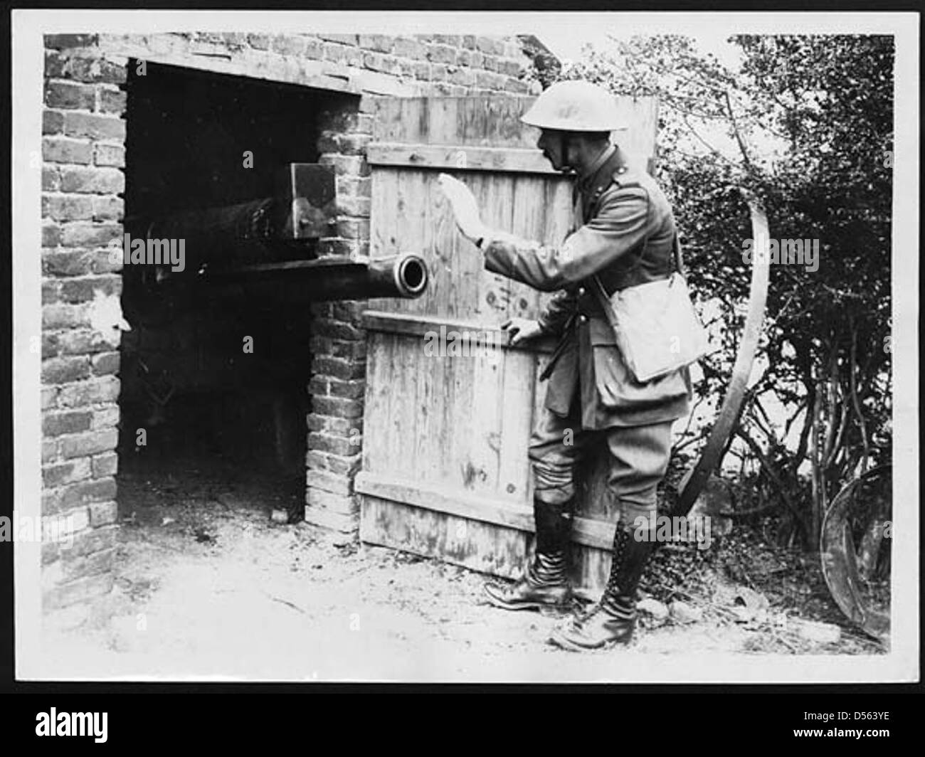Field gun in a cow shed Stock Photo - Alamy
