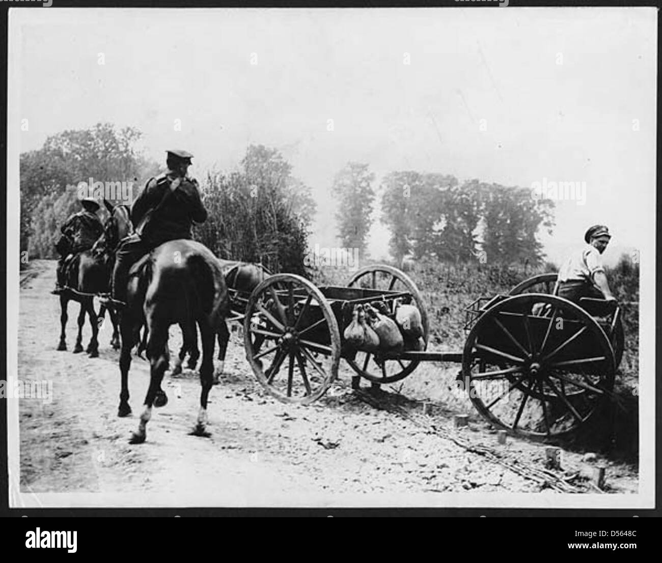 Great limber hi-res stock photography and images - Alamy