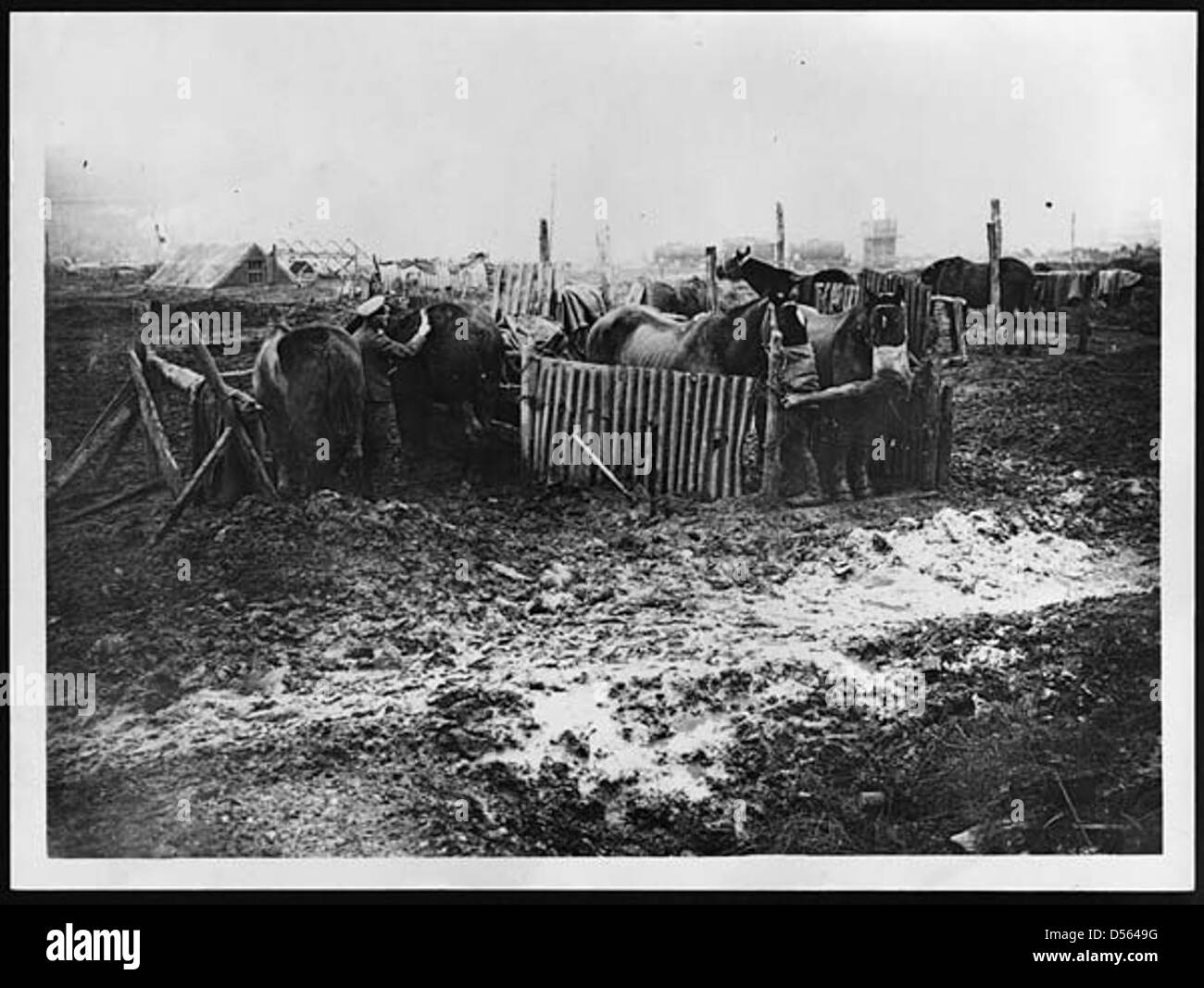 An active service stable during World War I, where horses were kept for ...