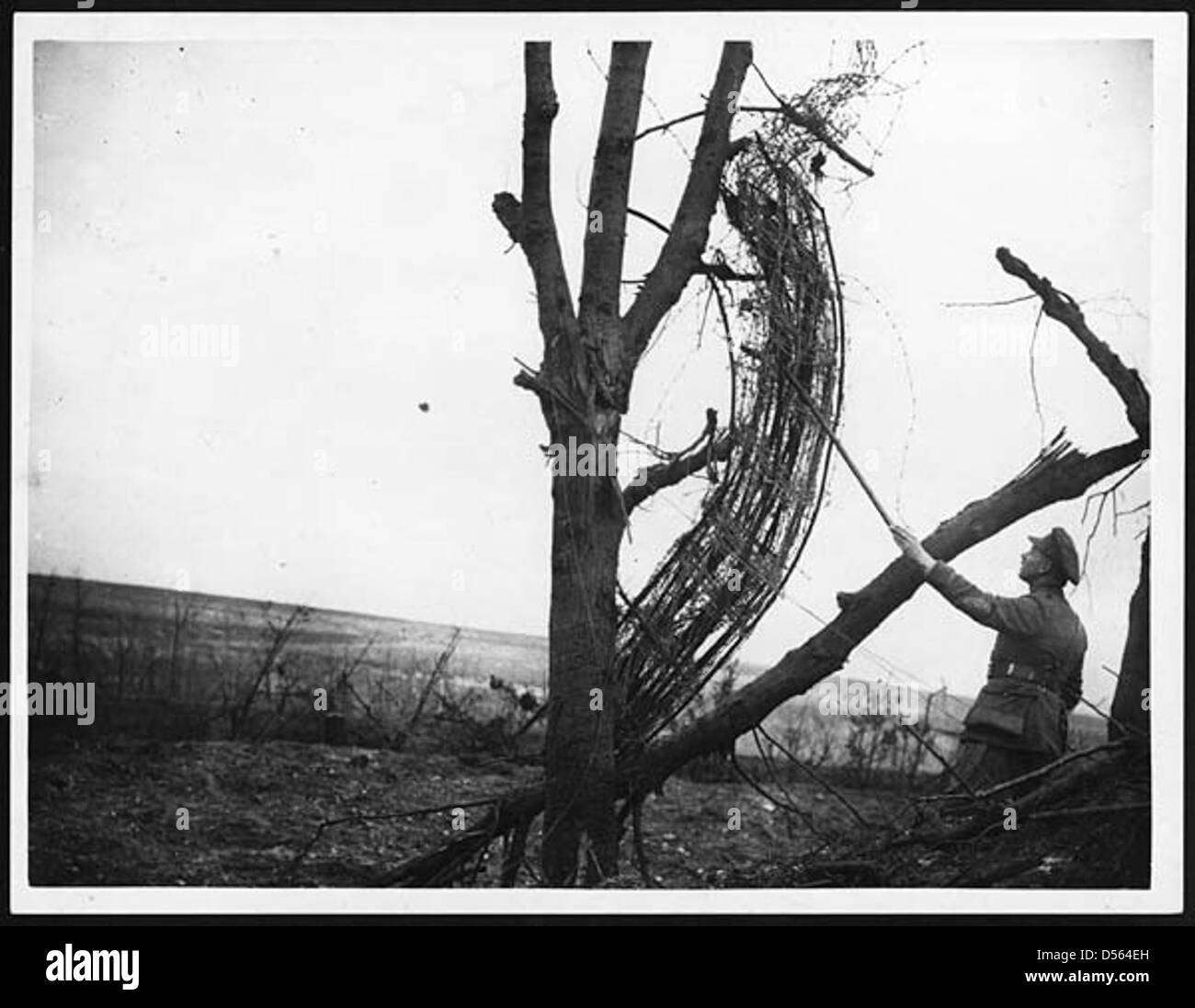 German barbed wire near Miraumont-le-Grand, France, during World War I ...