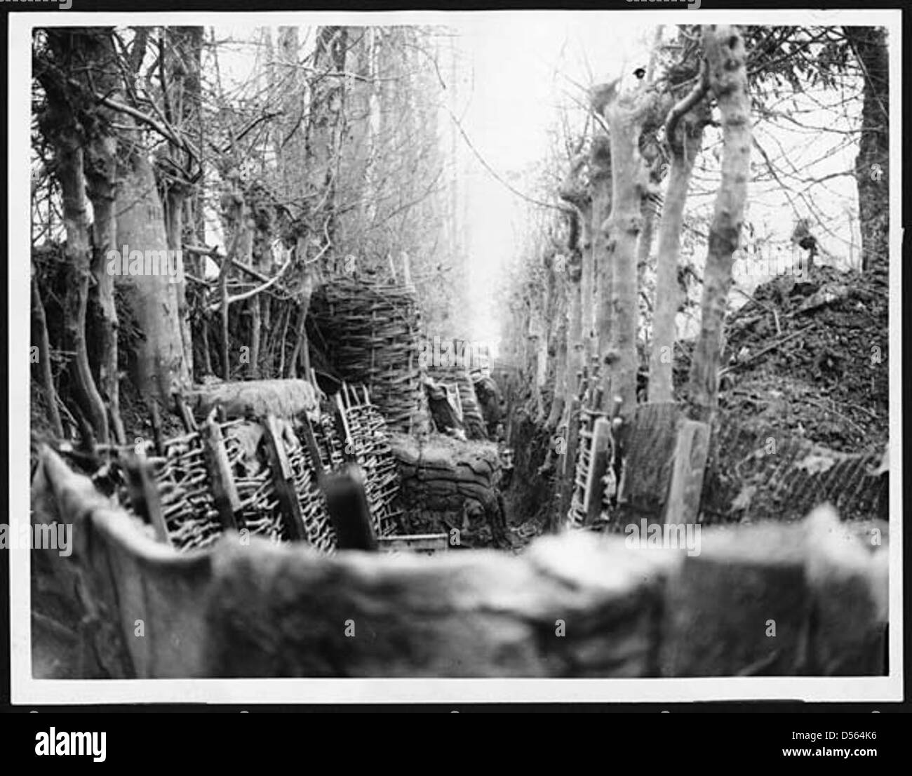 A well-concealed trench, strategically placed to minimize visibility ...