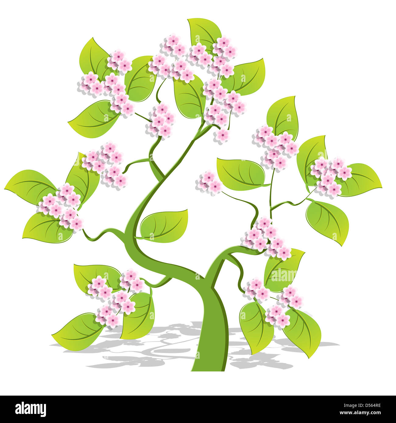 Illustration, single flowering tree on white background Stock Photo - Alamy