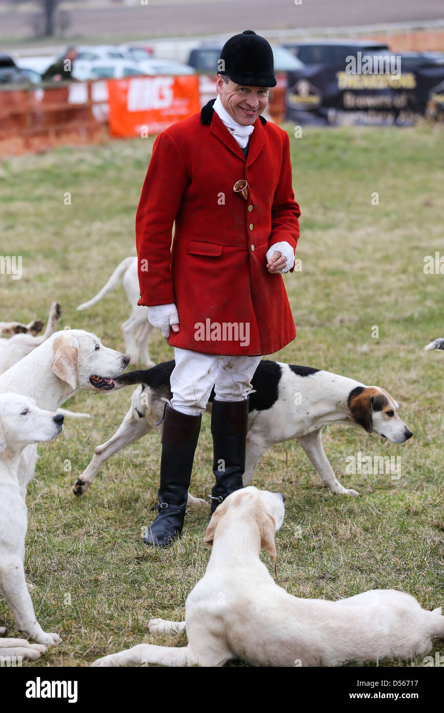 Huntsman and Hounds Stock Photo - Alamy
